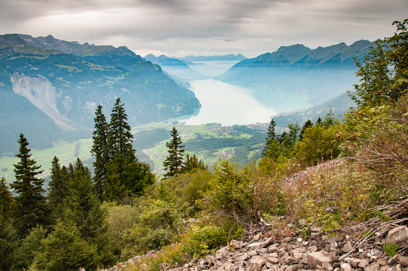 Switzerland | Forest Information System of Europe