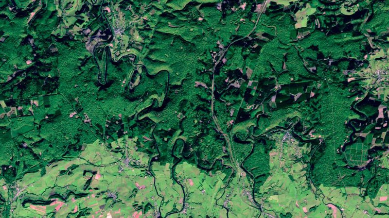Unlocking the Vast Potential of Remote Sensing to Monitor Forests and ...