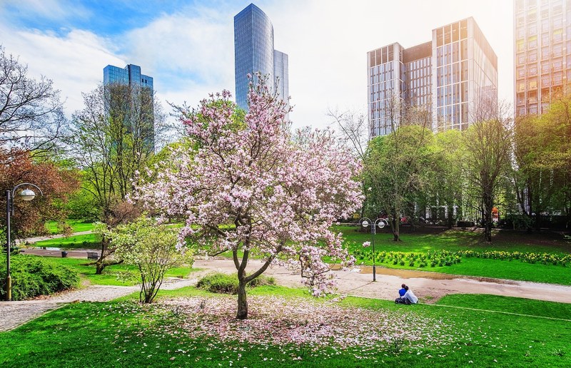 Urban Forestry – Multi-functional Greening in the City | Forest ...