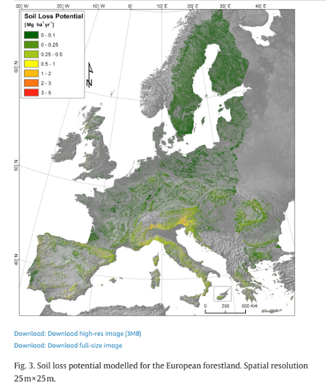 Clipboard image | Forest Information System of Europe