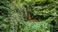 Agroforestry | Forest Information System of Europe